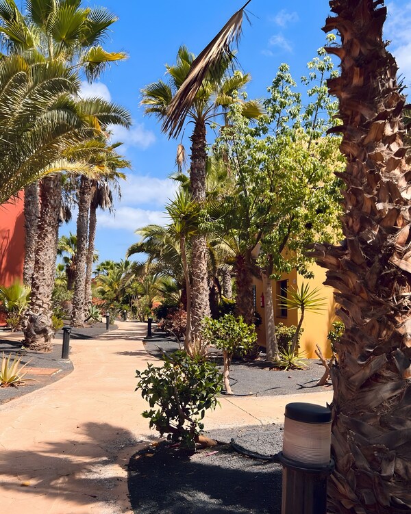 Urlaub 'Vista Lobos' Mit Meerblick, Gemeinschaftspool Und Wi-fi - Corralejo