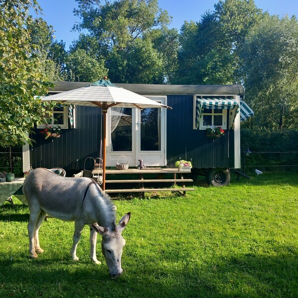 Cosy Gypsy Wagon With Private Garden Near The Sea And Beach! - Vlissingen