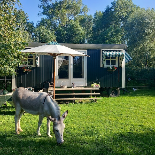 Cosy Gypsy Wagon With Private Garden Near The Sea And Beach! - Vlissingen