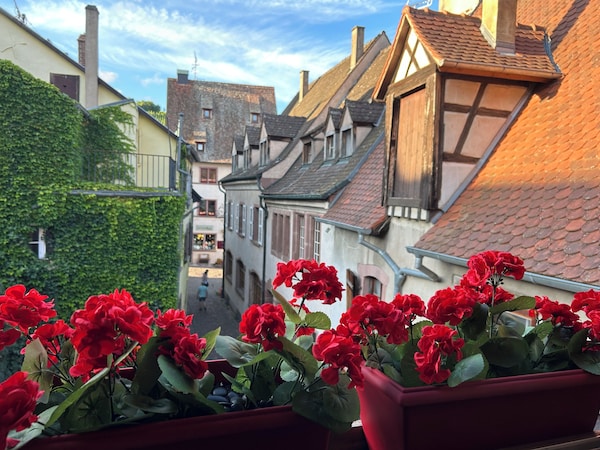 Le Schmoutzi - Comfort And Charm In The Center Of The Magnificent Village Of Riquewihr - Riquewihr