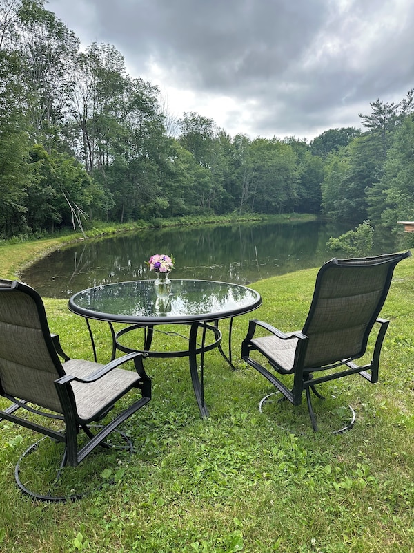 Cozy Caravan In Willseyville With Authentic Sauna In Bucolic Setting - Finger Lakes, NY