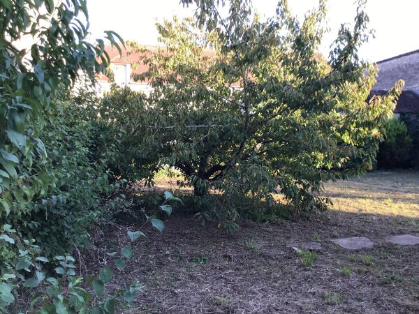 Maison 180 M2 Et Jardin 600 M2 - Loiret