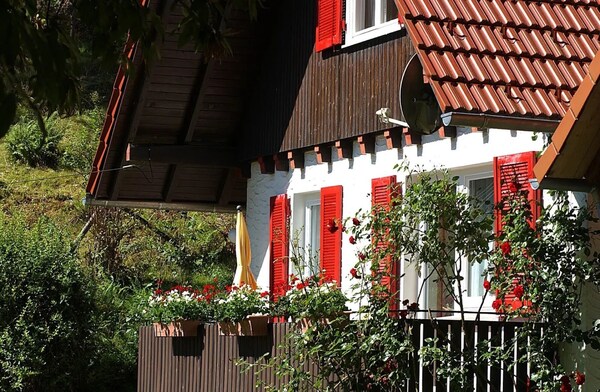 Ferienhaus '96-2' Mit Privater Terrasse, Gemeinschaftsgarten Und Balkon - Alpirsbach