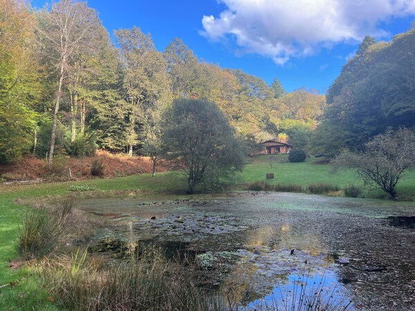 Chalet Au Milieu Des Bois Avec éTangs Privés  Proche Lac De Saint-pardoux - Ambazac