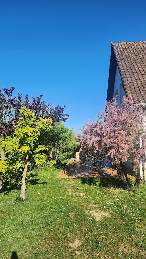 Pretty Renovated Villa With Sea View, A Few Steps From The Beach... - Wissant