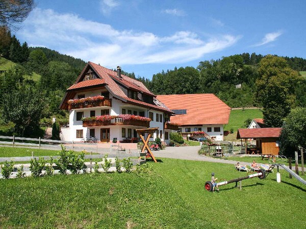 Ferienwohnung '4' Mit Gemeinschaftspool Und Wlan - Haslach im Kinzigtal