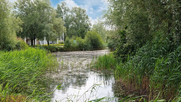 Chestnut Lodge - Lower Mill Estate, Cotswold Lakes - Somerford Keynes