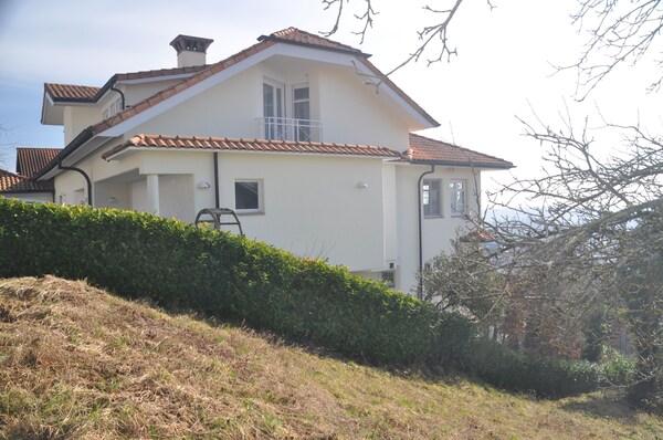 Luxus Ferienwohnung In Villa Bei Radolfzell\ngroße Terasse Mit Panoramablick - Allensbach
