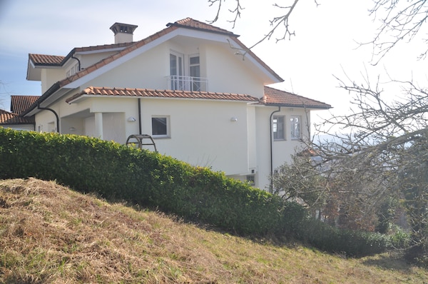 Luxus Ferienwohnung In Villa Bei Radolfzell\ngroße Terasse Mit Panoramablick - Allensbach