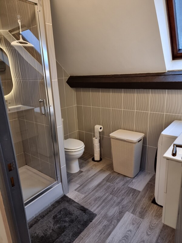 Large T3 Apartment In The Heart Of Dijon - Dijon