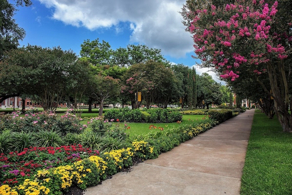 Budget Stay W/ Mini-fridge And Microwave Near Wacos Top Museums Pet-friendly! - Waco, TX
