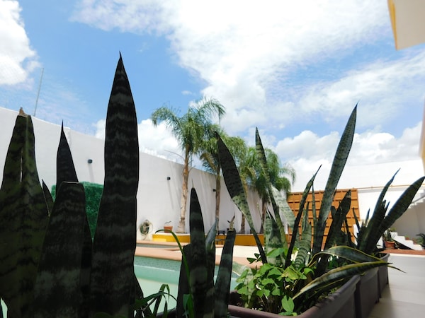 Casa De Campo Los Laureles (Nature And Tranquility In The Tequilense Countryside) - Jalisco
