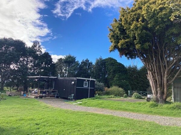 Tiny Home Set In A Peaceful, Natural Avocado Orchard Close To Beach And Village. - Taranaki