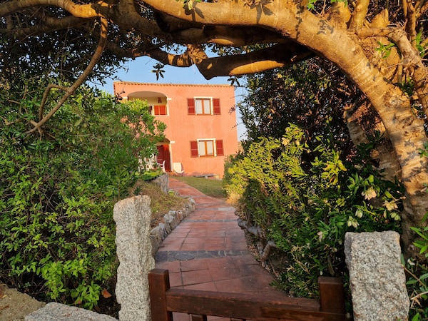 Within Walking Distance Of The Beautiful Vignola Beach, With Panoramic Terrace. - Portobello
