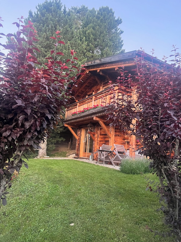Charming Chalet Facing The Mont Blanc Range. Your 4-legged Friend Is Welcome - Combloux