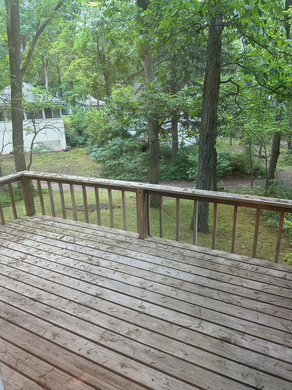 Charming 3-bedroom Cottage With Wifi And Ac In Welcoming Brooklyn - Faster Horses