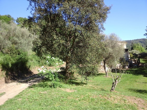 Villa Au Calme Dans La Campagne Provençale Entre Hyères Et St Tropez - Le Lavandou