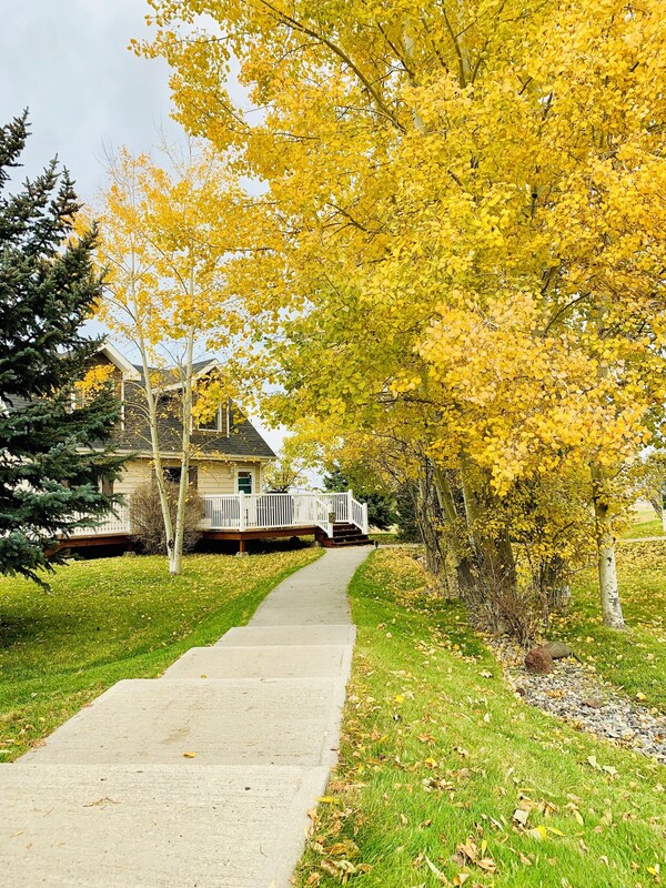 Comfortable King Suite Close To Bozeman Airport, Downtown, Msu. Dog Friendly! - Bozeman, MT