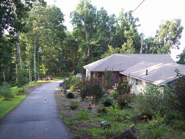 Rustic Cabin, Appalachian Elegance,  Rural But Close - Asheville, NC