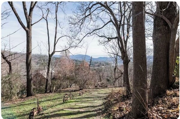 Nestled Garden Oasis With Mountain Views Downtown! Dogs Welcome! - Asheville, NC