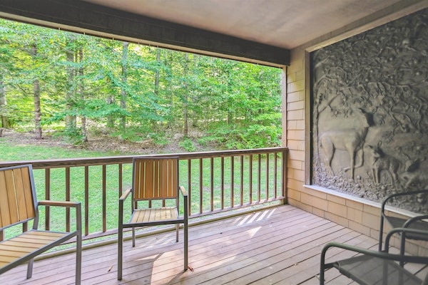 Awesome Location Is Perfect Any Season. - Canaan Valley, WV