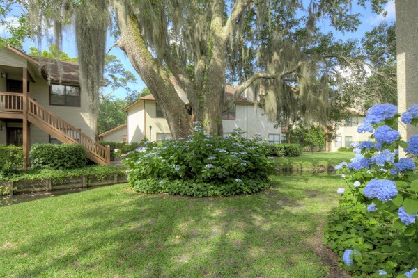 Pet-friendly  Walk To Pier Village  Pool And Private Patio - Jekyll Island, GA