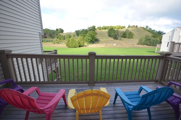4brm 4 Ba In Leelanau County. Air, Heated Pool, 5 Miles To Lk Michigan Beach - Shady Lane Cellars, Suttons Bay