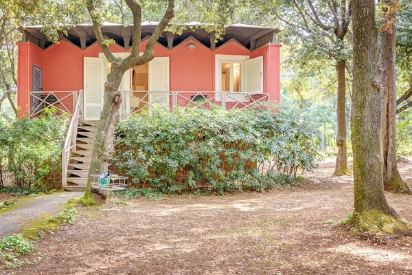 Bungalow Mit Klimaanlage - San Vincenzo