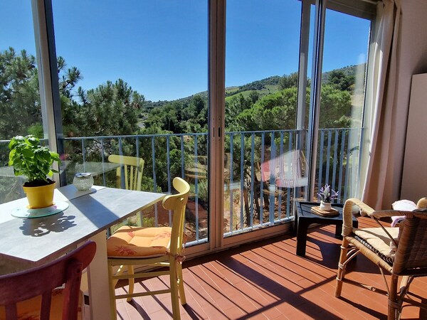 Apartamento En Banyuls-sur-mer - Tranquilo Y Cómodo Para 4 Pers, Aparcamiento Incluido - Portbou