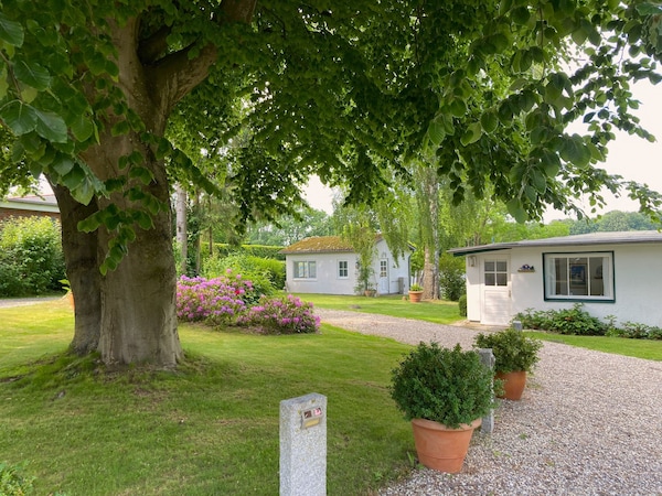 Bungalow 3, 2-raum, 35 M², Terrasse, Seeblick - Ferienhäuser Pönitz Am See - Scharbeutz