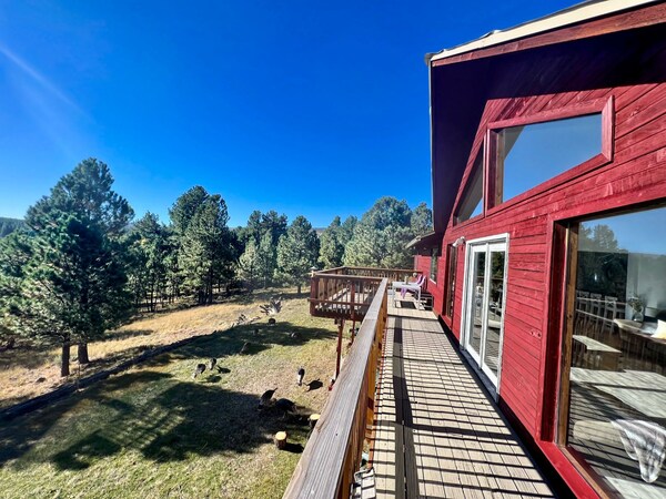 Indep.close To Ski/remodeled Chalet On Xl Lot W Views Of Ski Resort &Mountains - Angel Fire, NM