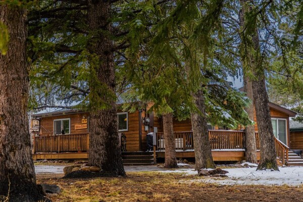 Sale! Cabin, Hot Tub, River, Fireplace, Near Town - Estes Park, CO