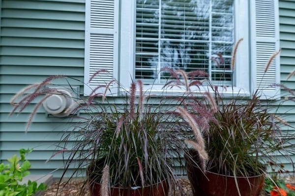 Cute And Cozy Home Located In The Heart Of Ludington, Near Lake Michigan! - Ludington, MI