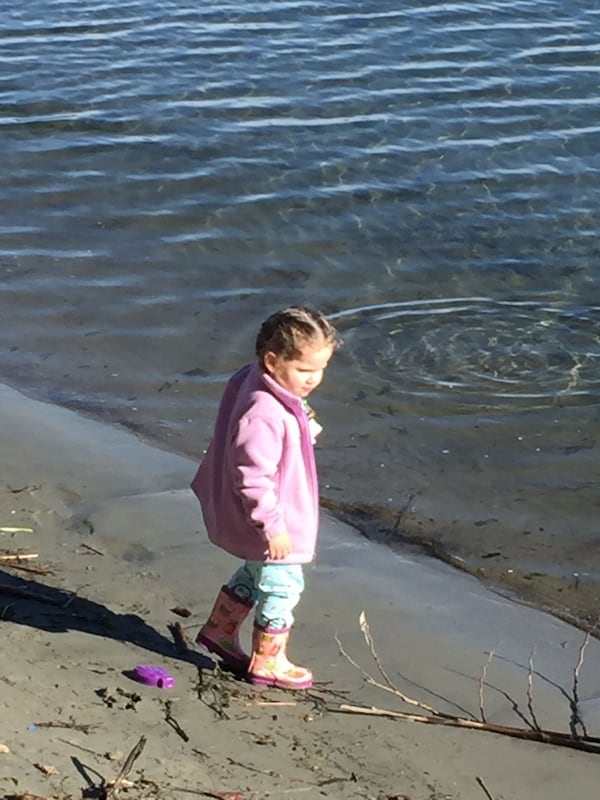 Waterfront Beach House En Apple Tree Cove / Puget Sound. Caminar Al Centro Y Ferry - Poulsbo, WA