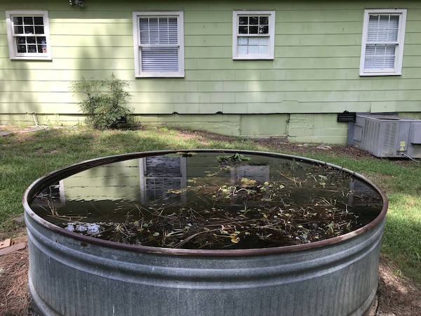 Nofo Bungalow, North Fondren, Northeast Jackson - Jackson, MS