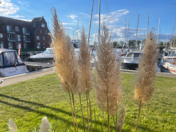 Ferienwohnung/app. Für 4 Gäste Mit 42m² In Ueckermünde (55047) - Torgelow