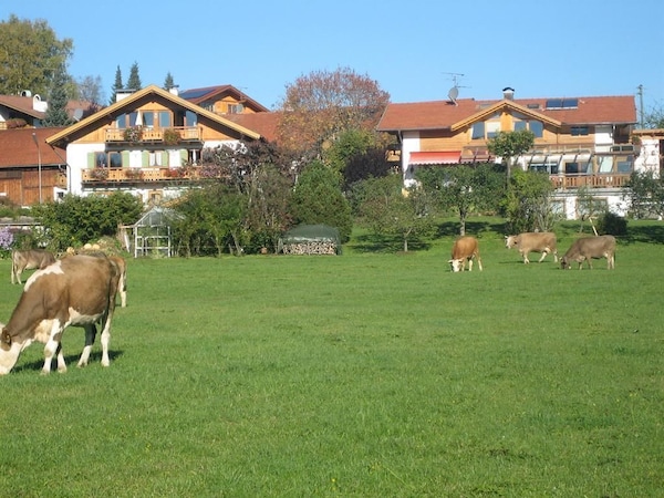 Gästehaus Schönblick - Ferienwohnung Edelweiß - Bad Bayersoien