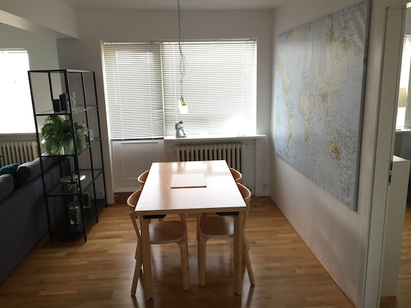Centrally Located Apartment - Iceland