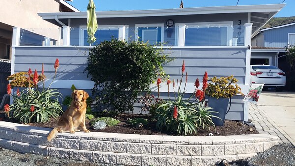 Full Ocean View!!! 3 Minute Walk To Beach, Wifi, Dogs Welcomed Upon Approval - Morro Bay, CA