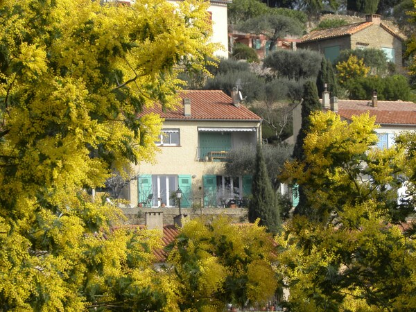 Erdgeschosswohnung Im Malerischen Dorf Bormes Les Mimosas - Bormes-les-Mimosas