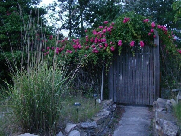 Ocean Bay Park Sanctuary - 4th Week Just Opened Up With A Cancelation! - Fire Island, NY