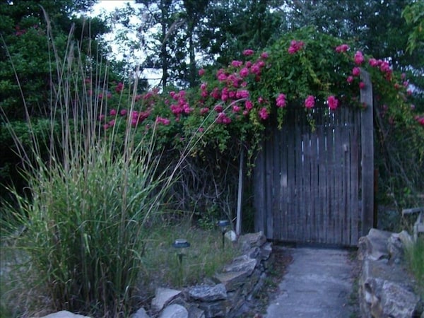 Ocean Bay Park Sanctuary - 4th Week Just Opened Up With A Cancelation! - Patchogue, NY