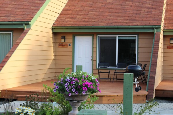 Right On The Kenai River! Comfortable Condo Great For Fishing Or Sightseeing - Kenai, AK