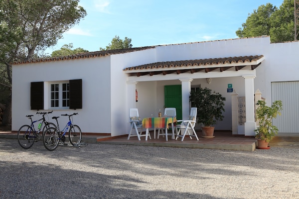 Sant Ferran De Ses Roques: Apart.en Zona Rural - Formentera