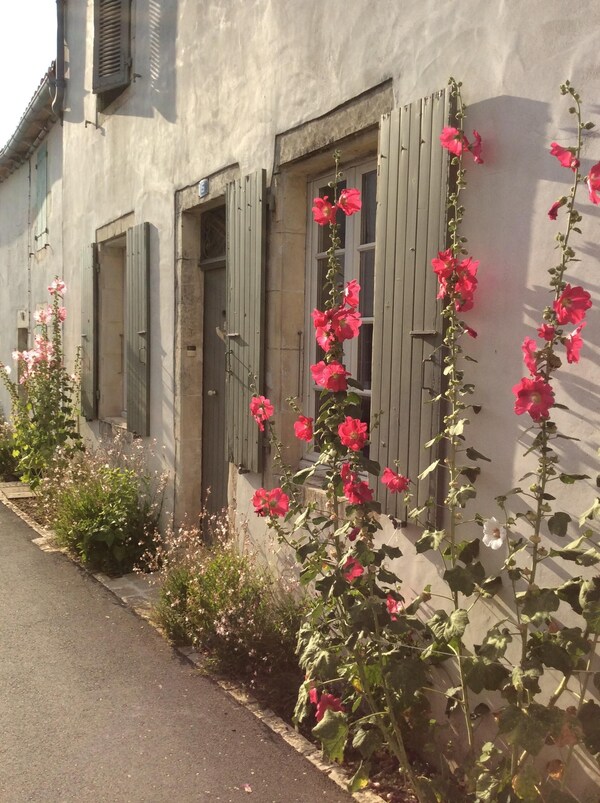 House / Villa - Sainte-marie-de-ré - Île de Ré