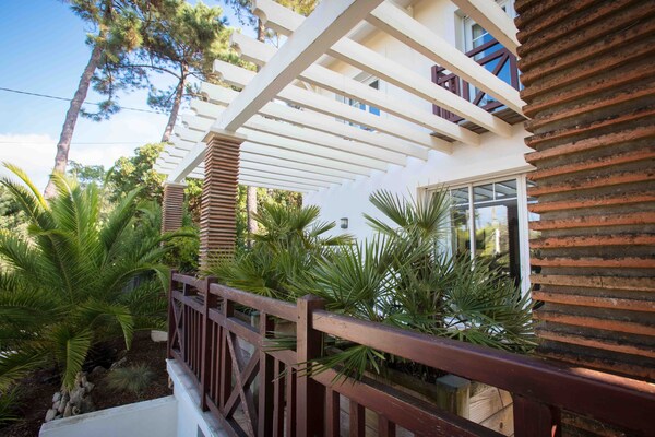 200 Mètres Des Plages : Villa En Plein Centre Du Cap Ferret, Beau Jardin Arboré - Cap Ferret