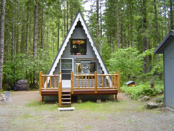 Rock-n-roll Cabin On Mount Rainier - Washington