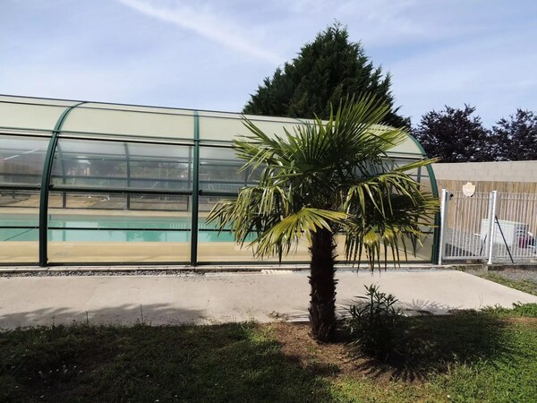Chalet Auvergne 3 Pièces 3 Personnes - Allier