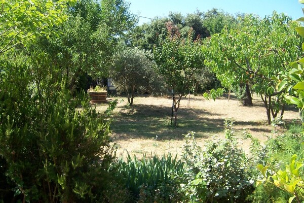 Le Gîte Les Amandiers - Bandol