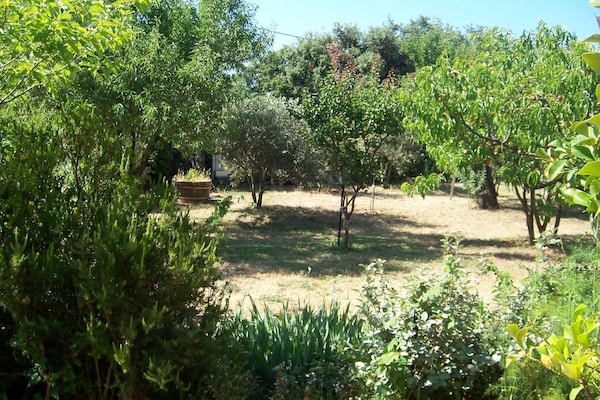 Le Gîte Les Amandiers - Bandol